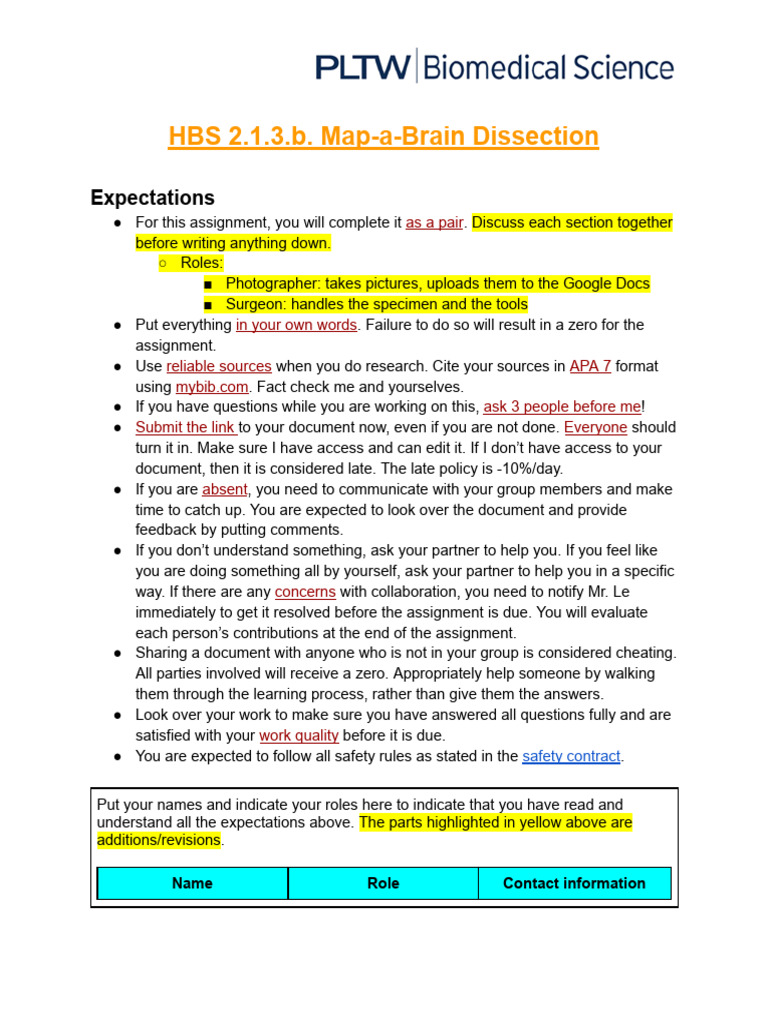 Hbs 2 | PDF | Cerebrum | Cerebral Hemisphere