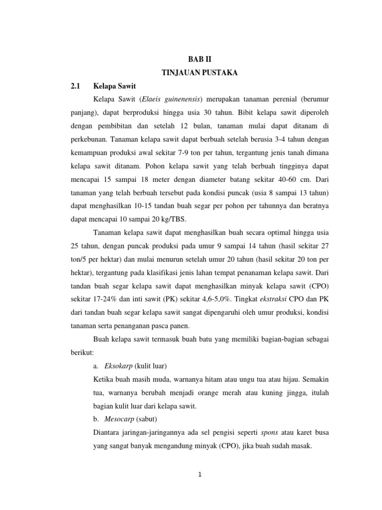 Laporan Sah Birin N Iking Di PT Bungo Limbur-Dikonversi | PDF