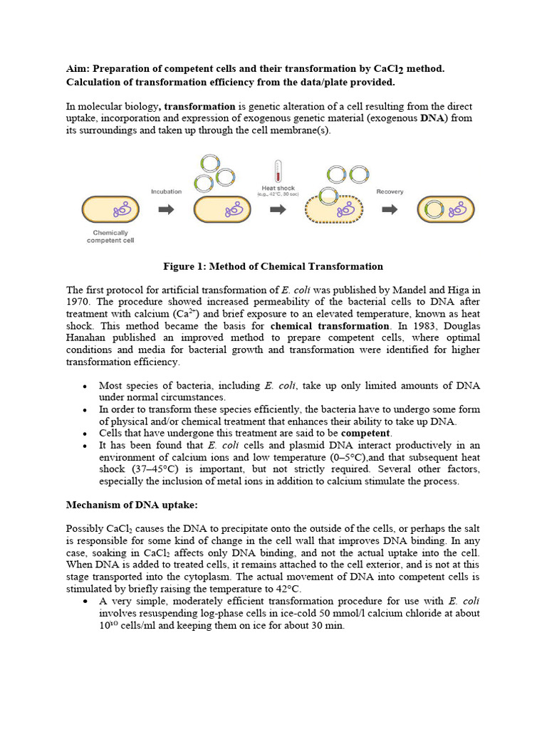 Transformation | PDF | Transformation (Genetics) | Biochemistry