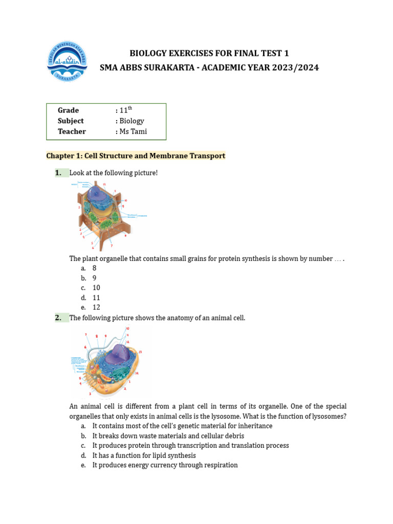 Biology Exercises for 11th Grade Test | PDF | Tissue (Biology) | Cell ...