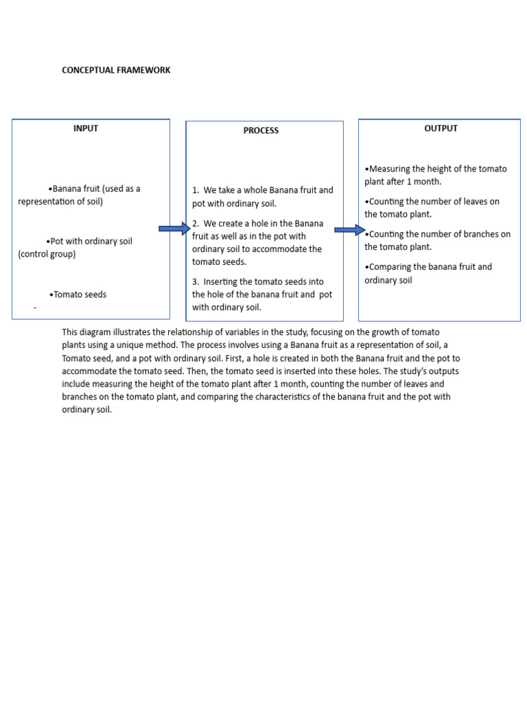 Conceptual-framework | PDF