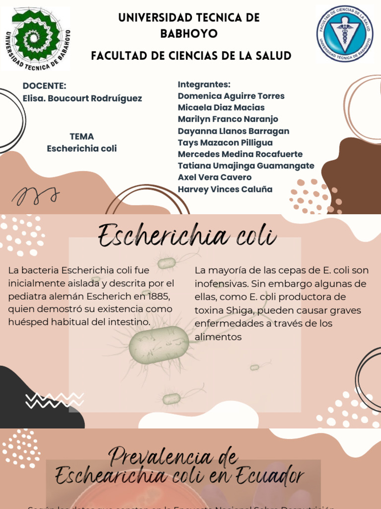 Escherichia Coli | PDF
