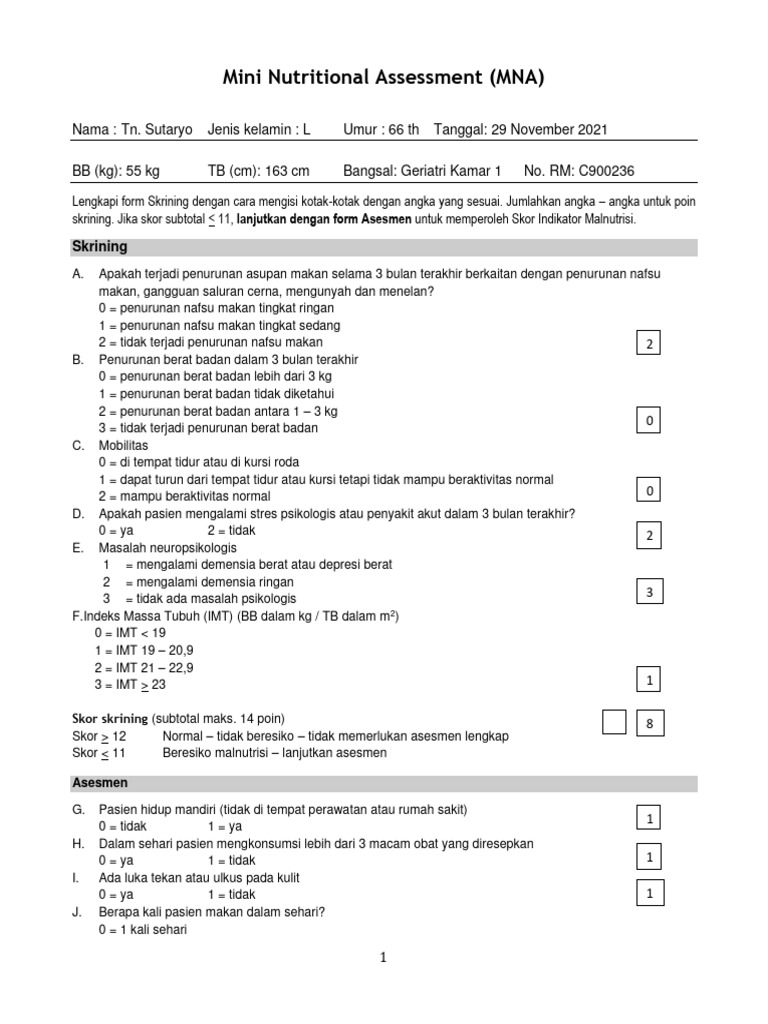 Form MNA Lansia | PDF