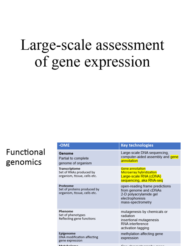 Large-Scale Analysis of Gene Expression | PDF | Gene Expression | Complementary Dna