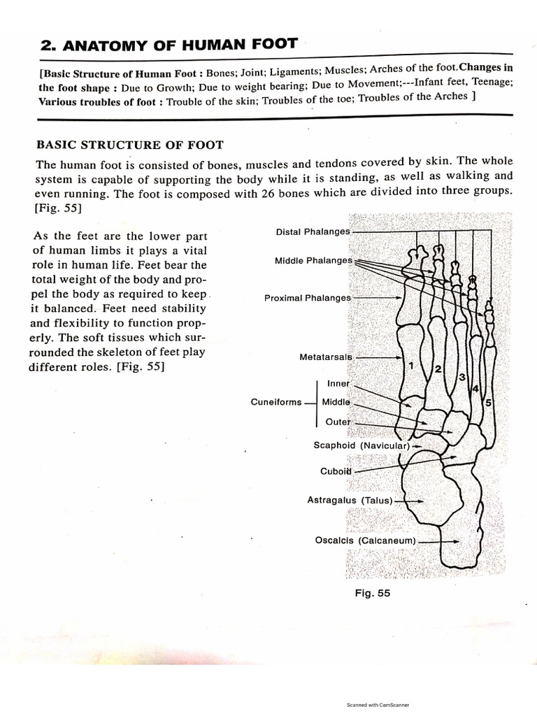 Module 1 | PDF