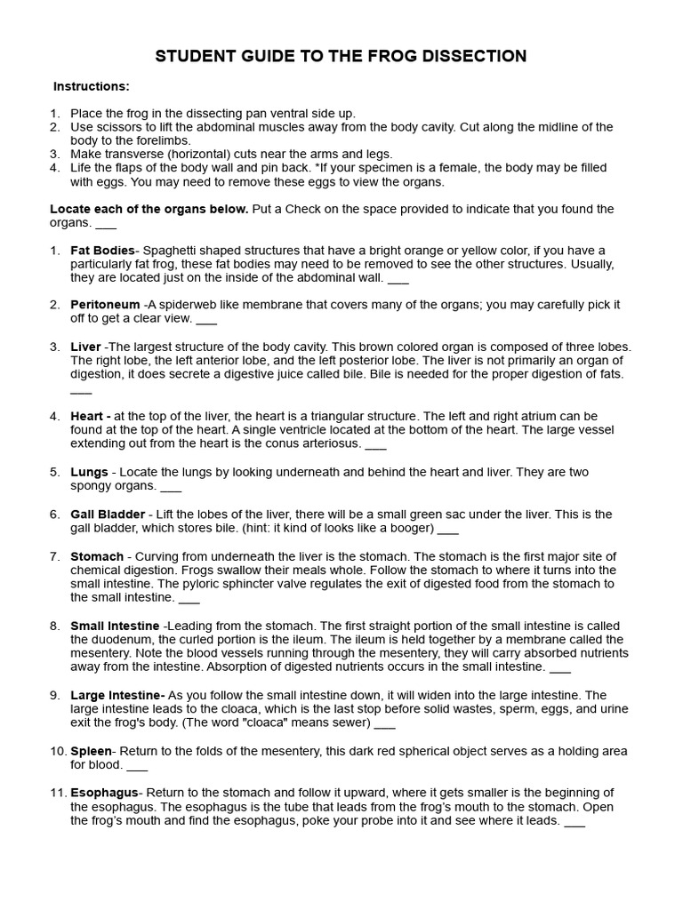 Frog Dissection Student Guide | PDF | Small Intestine ...