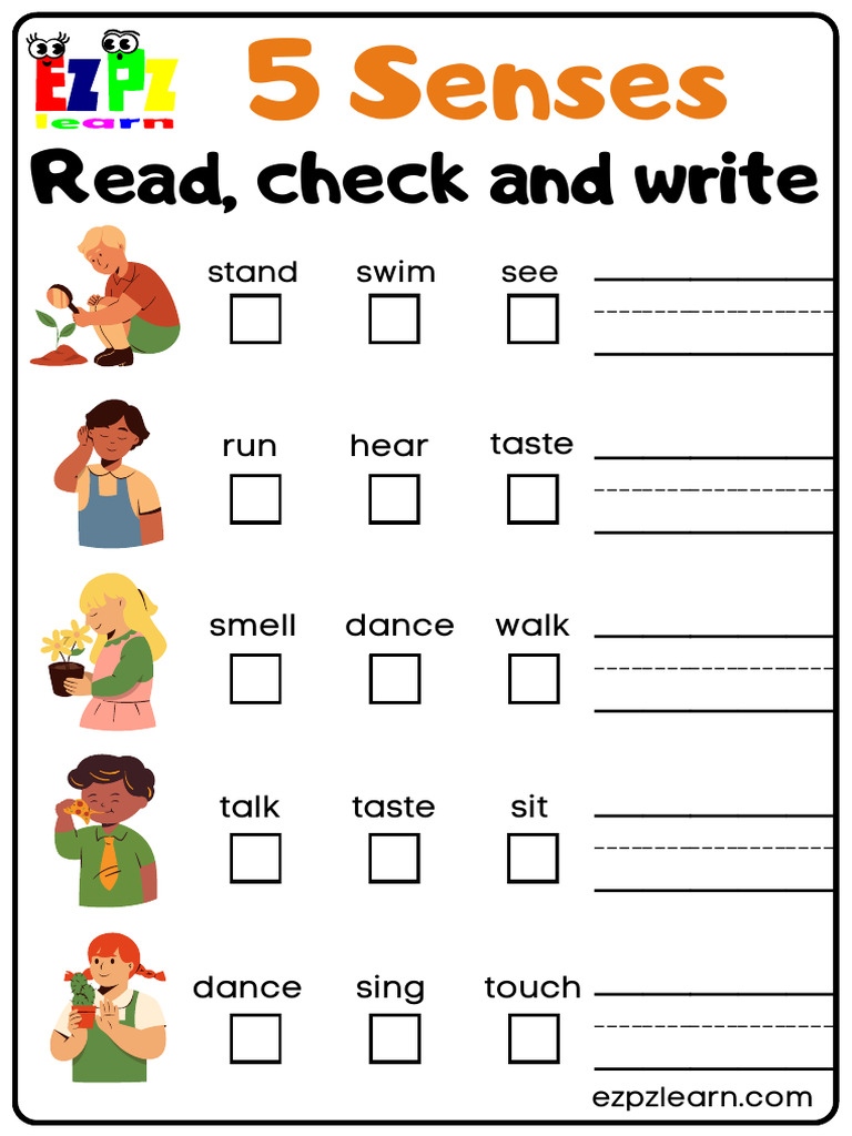 5 Senses Read Check and Write | PDF