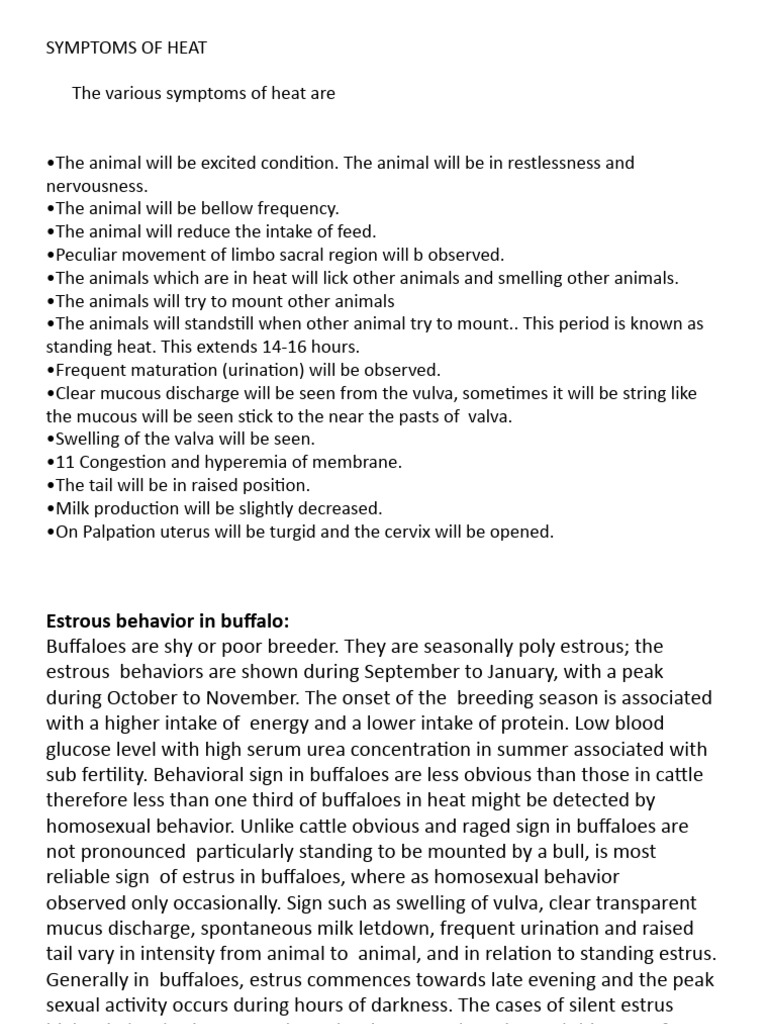 Symptoms of Heat | PDF