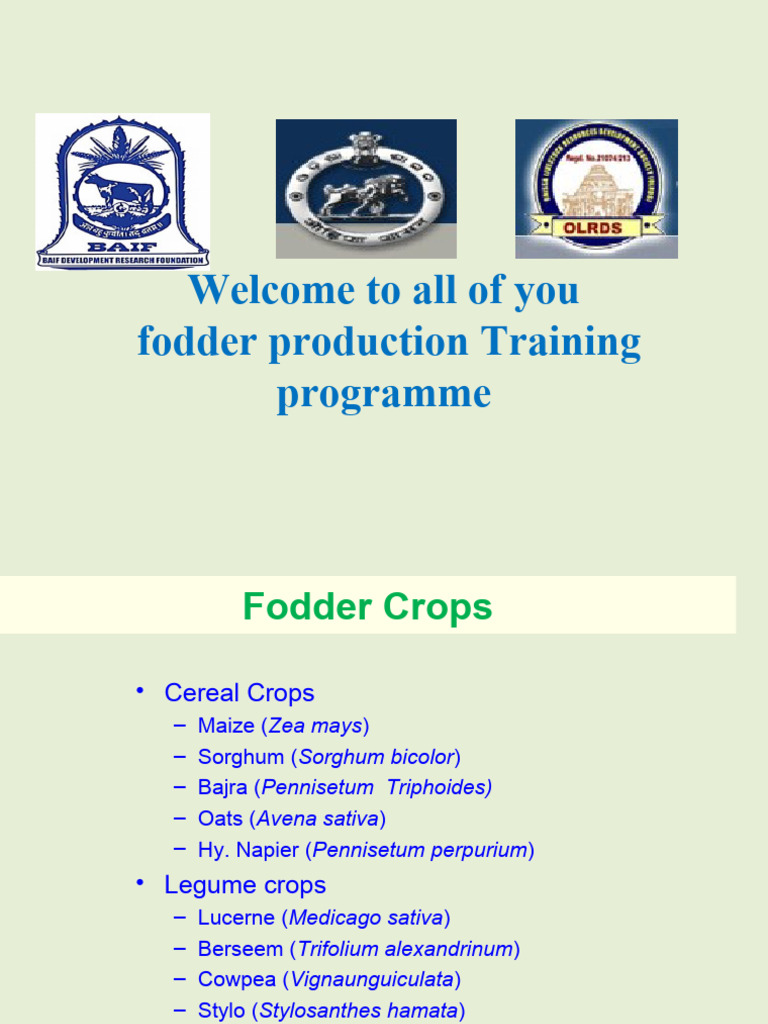 Training for fodder production | PDF | Sowing | Agriculture