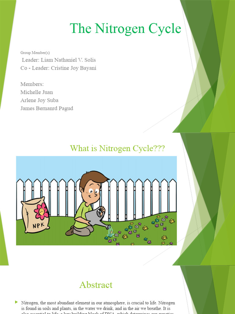 The Nitrogen Cycle | Download Free PDF | Eutrophication | Soil