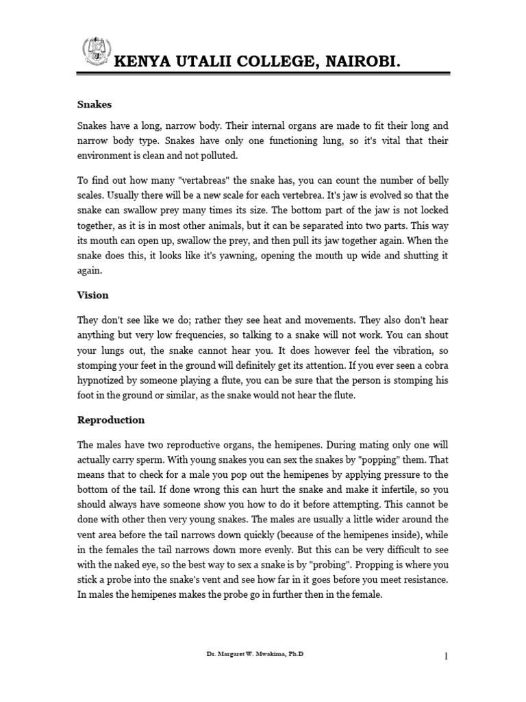 Lesson Five B Snakes Facts | PDF | Snake | Predation