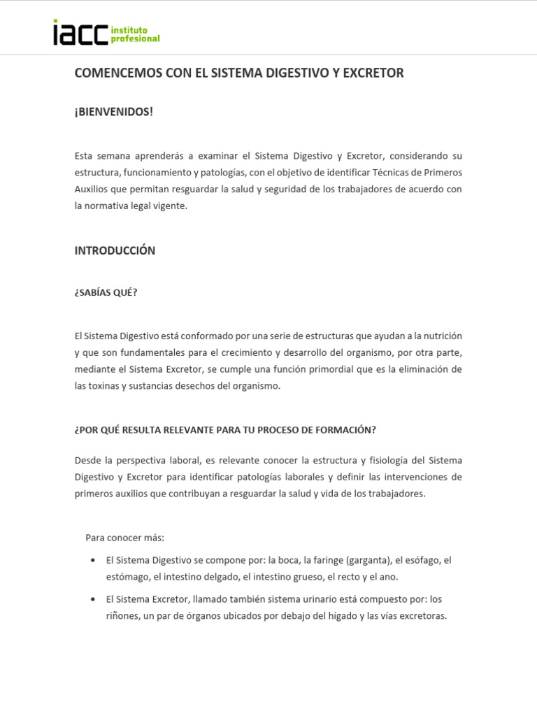 Primeros Auxilios: Sistemas Digestivo y Excretor | PDF