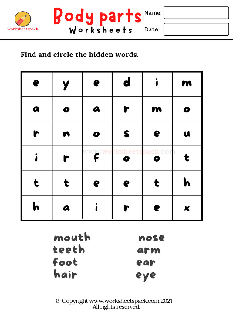 Body Parts Worksheets Word Search | PDF