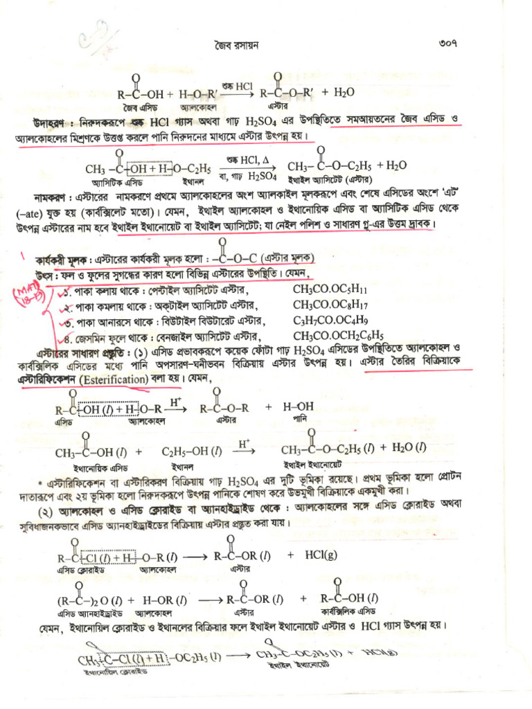 C 09 Marked Book | PDF