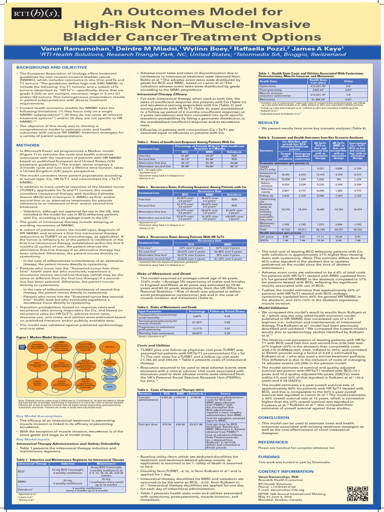 An Outcome Model For High-Risk NMIBC Treatment Options | PDF