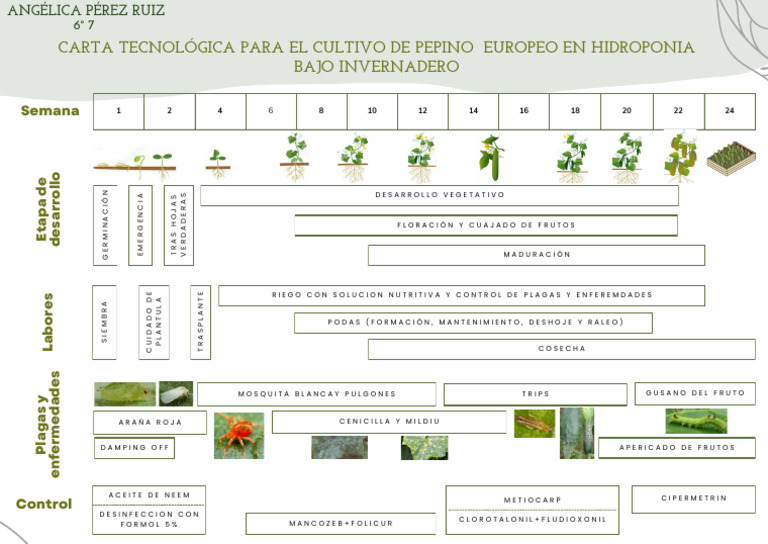 Documento A4 Plan Nutricionista Moderno Verde | PDF