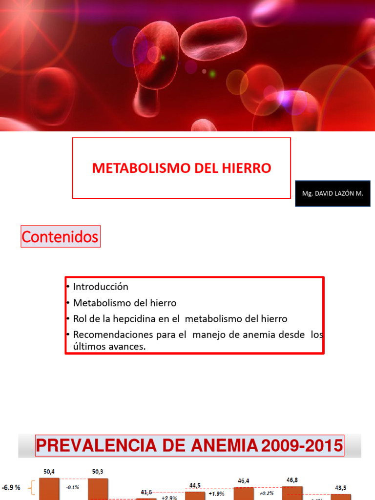 METABOLISMO DE HIERRO | PDF