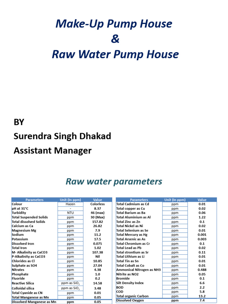 RW & Makeup Pump | PDF