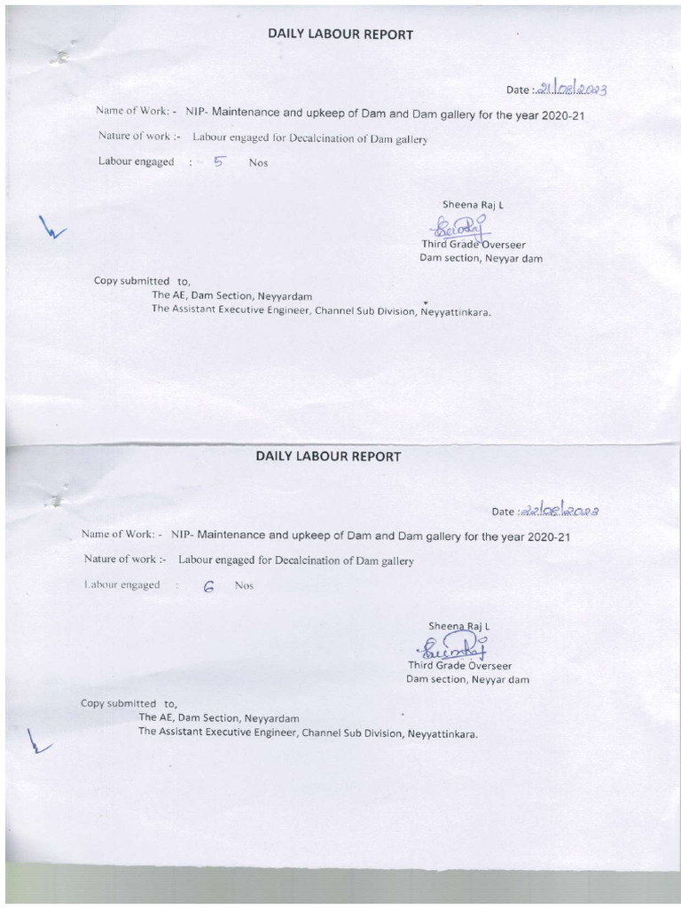 DLR Compressed | PDF