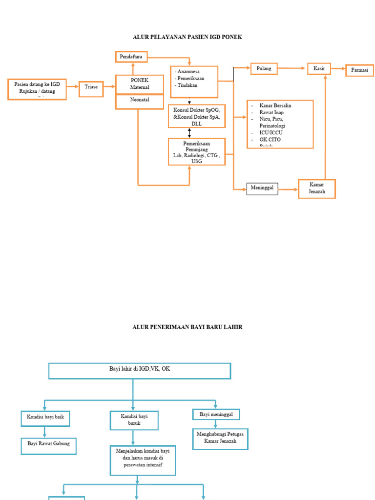 Alur Pelayanan Pasien Igd Ponek | PDF