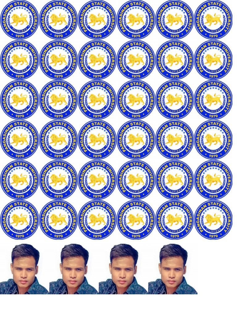 PSU Logo Print (Design) | PDF