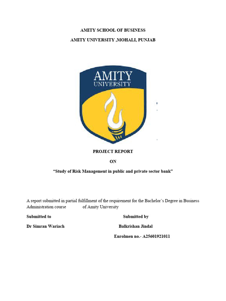 Amity Bal Kishan Part-2 | PDF | Risk | Banks
