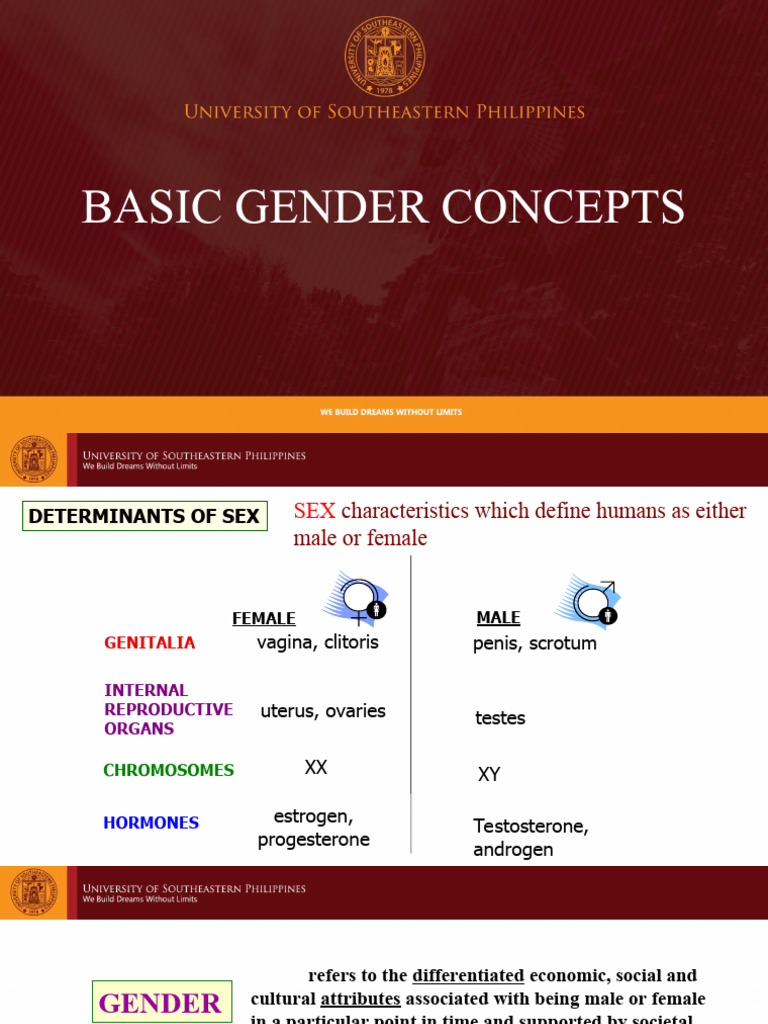 Gender Sensitivity - Basic Concepts | PDF