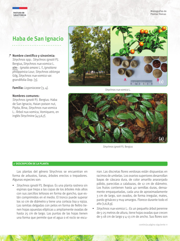 Haba de San Ignacio 04082021A | PDF | Benzodiazepinas | Drogas