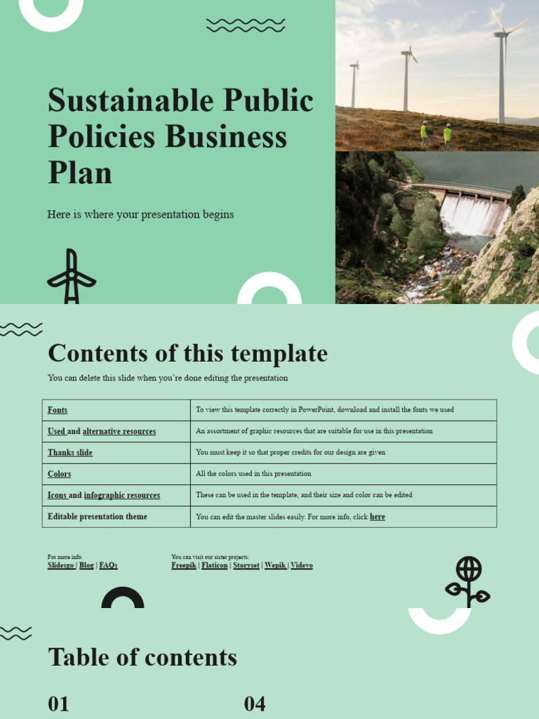 Sustainable Public Policies Business Plan | PDF | Marketing | Pricing