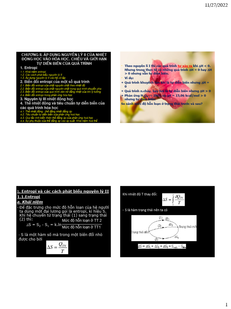 Chuong II - Ap Dung Nguyen Ly II Cua NDH Vao Hoa Hoc. Chieu Va Gioi Han Qua Trinh | PDF