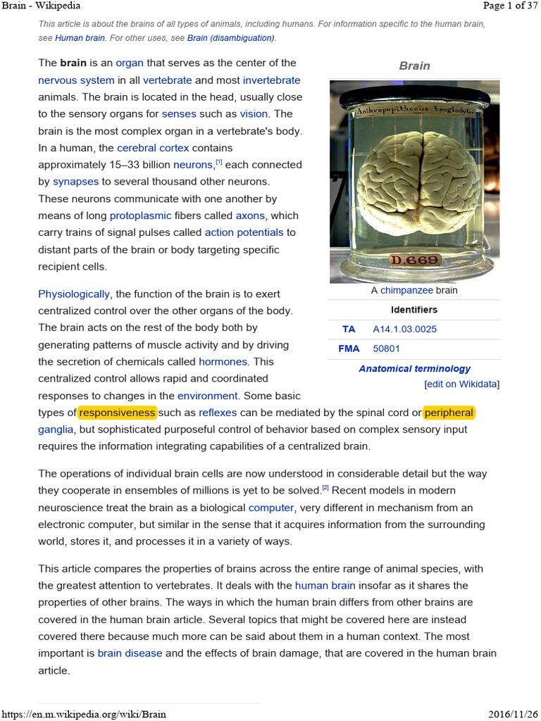 Brain | PDF | Brain | Neurotransmitter