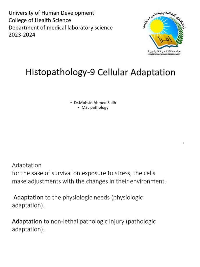 Histopathology-9 Cellular Adaptation | PDF