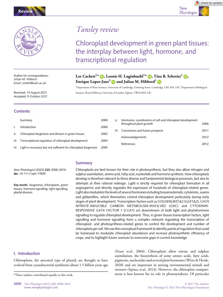 5 - Chloroplast Development in Green Plant Tissues The Interplay ...