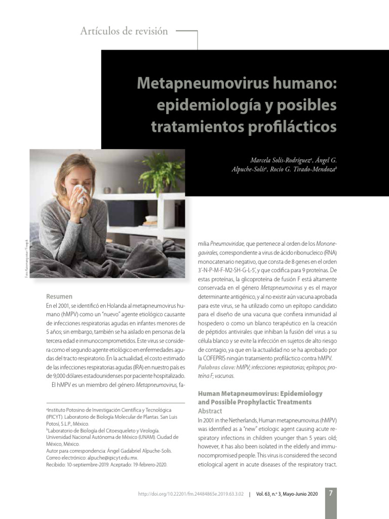 Metapneumovirus humano: epidemiología y tratamientos | PDF | Virus | N ...