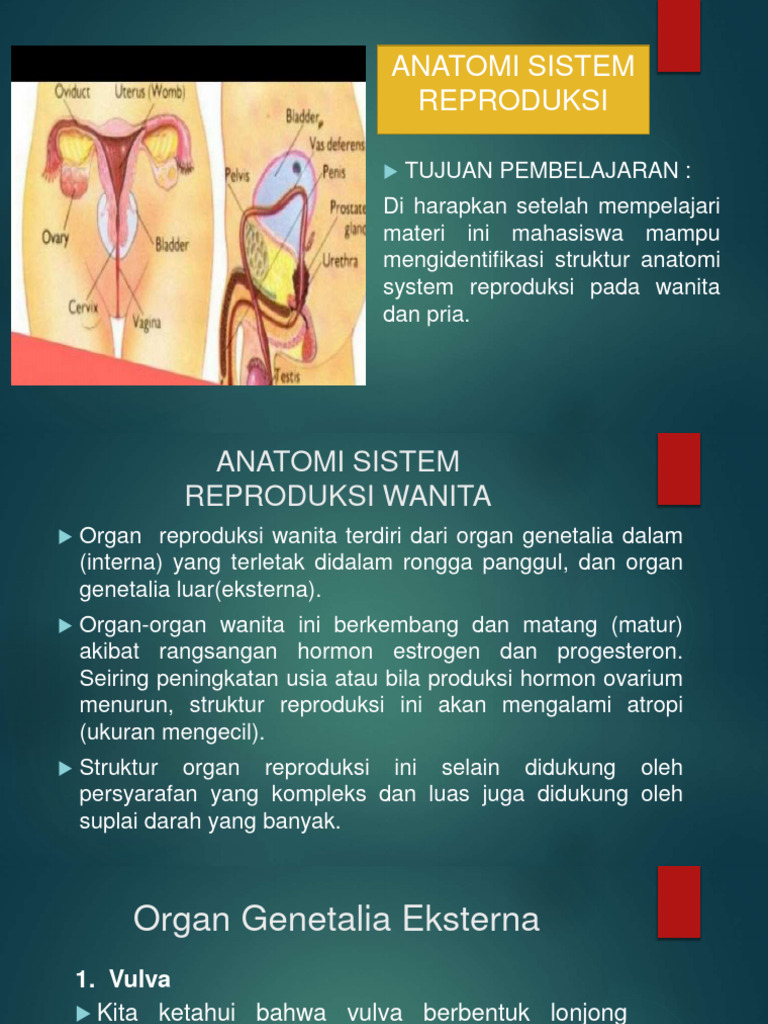 Anatomi Sistem Reproduksi Wanita - 2 | PDF | Kesehatan Holistik