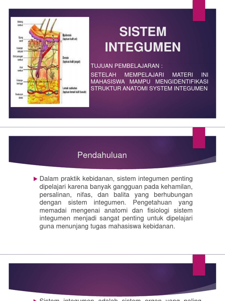 Anatomi Fisiologi Sistem Integumen | PDF