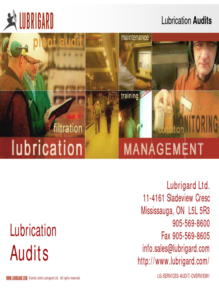 LG Services Audit Overview | PDF | Technology & Engineering