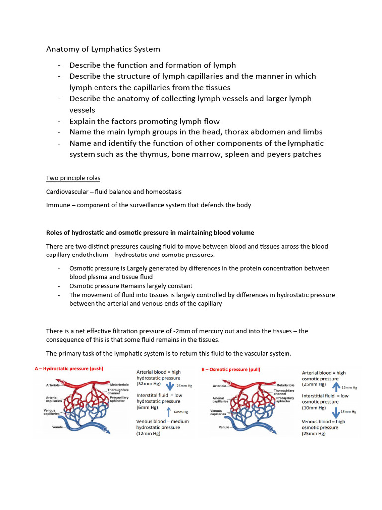 Anatomy of Lymphatics System | PDF | Lymph Node | Lymphatic System