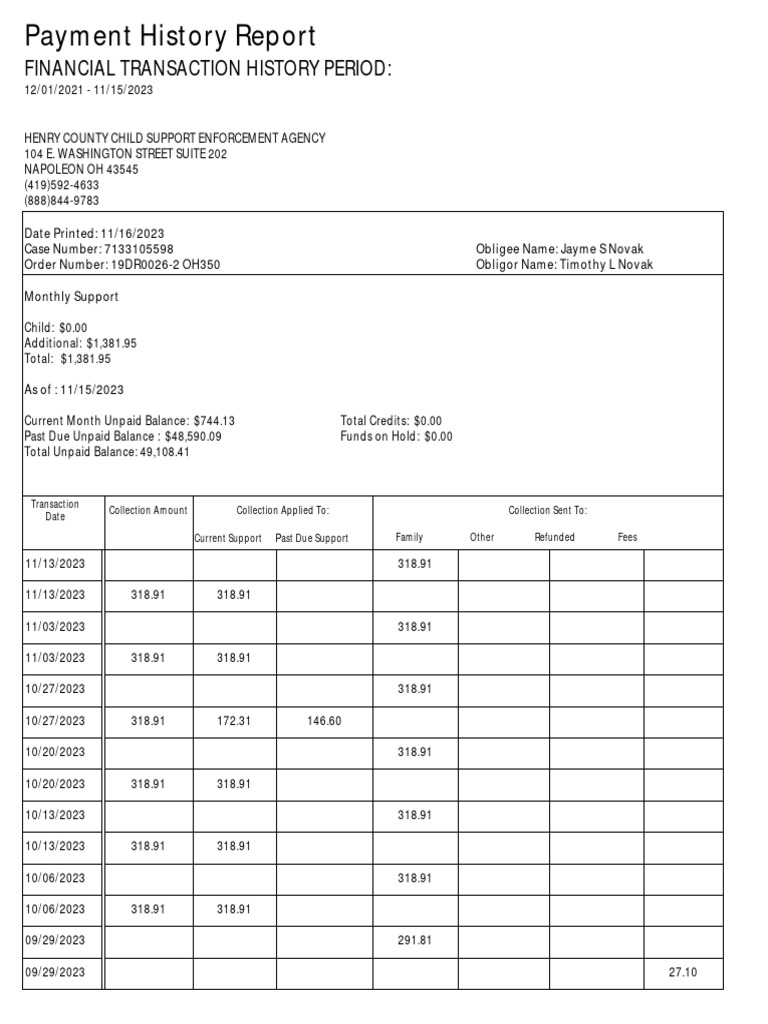 Payment History Report | PDF