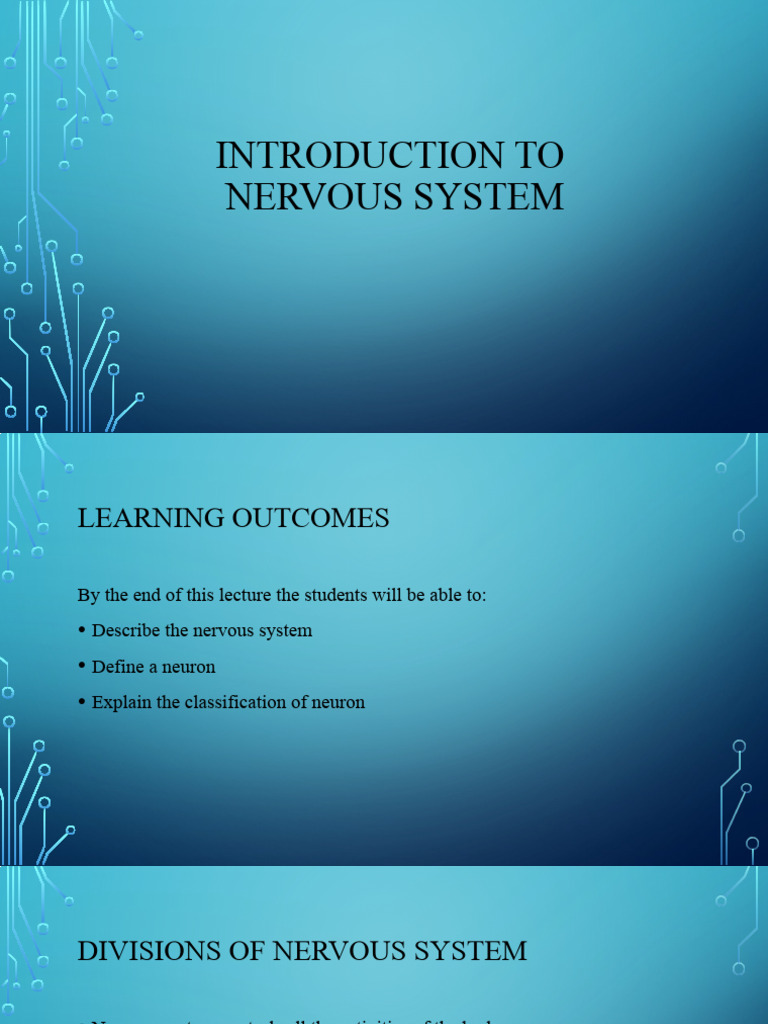 Lecture 5 Introduction to Nervous System-1 | PDF Lecture 5 Introduction to Nervous System-1 | PDF