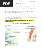 The Muscles of The Hand - Thenar - Hypothenar - TeachMeAnatomy | PDF ...