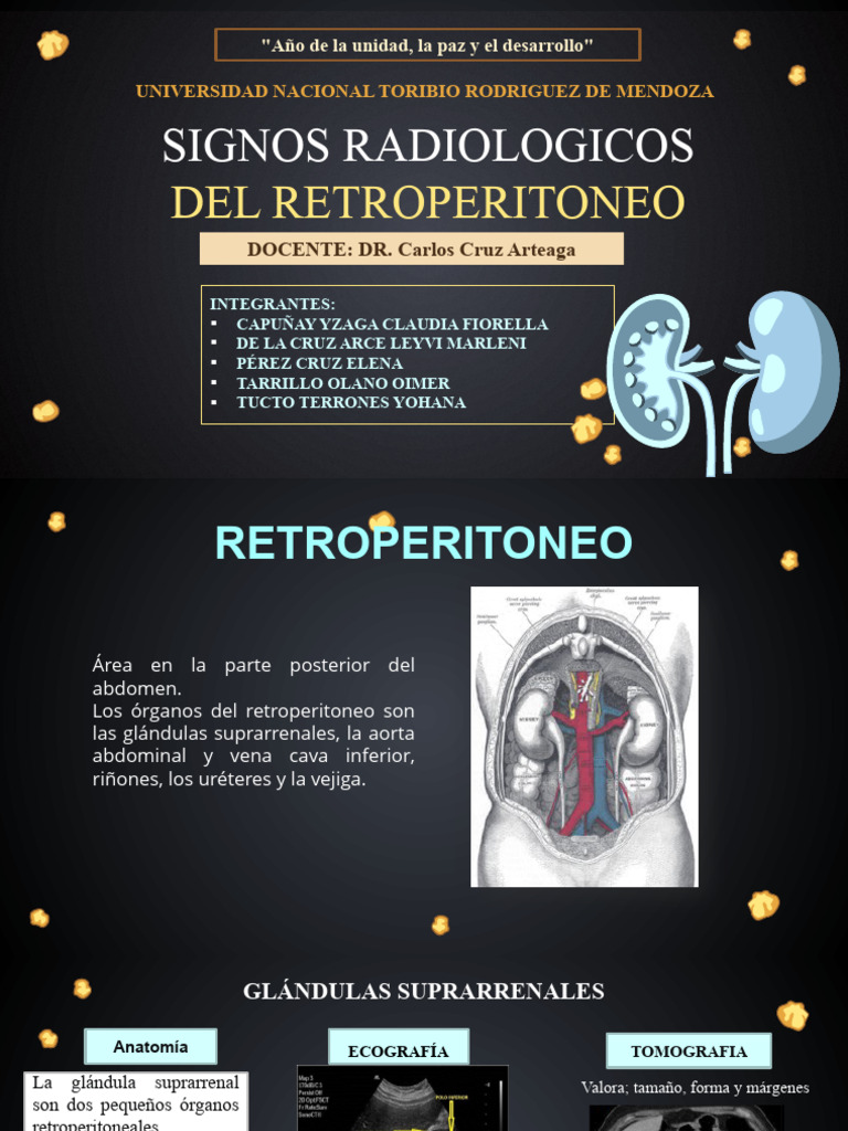 Signos Radiológicos del Retroperitoneo | PDF | Abdomen | Aorta