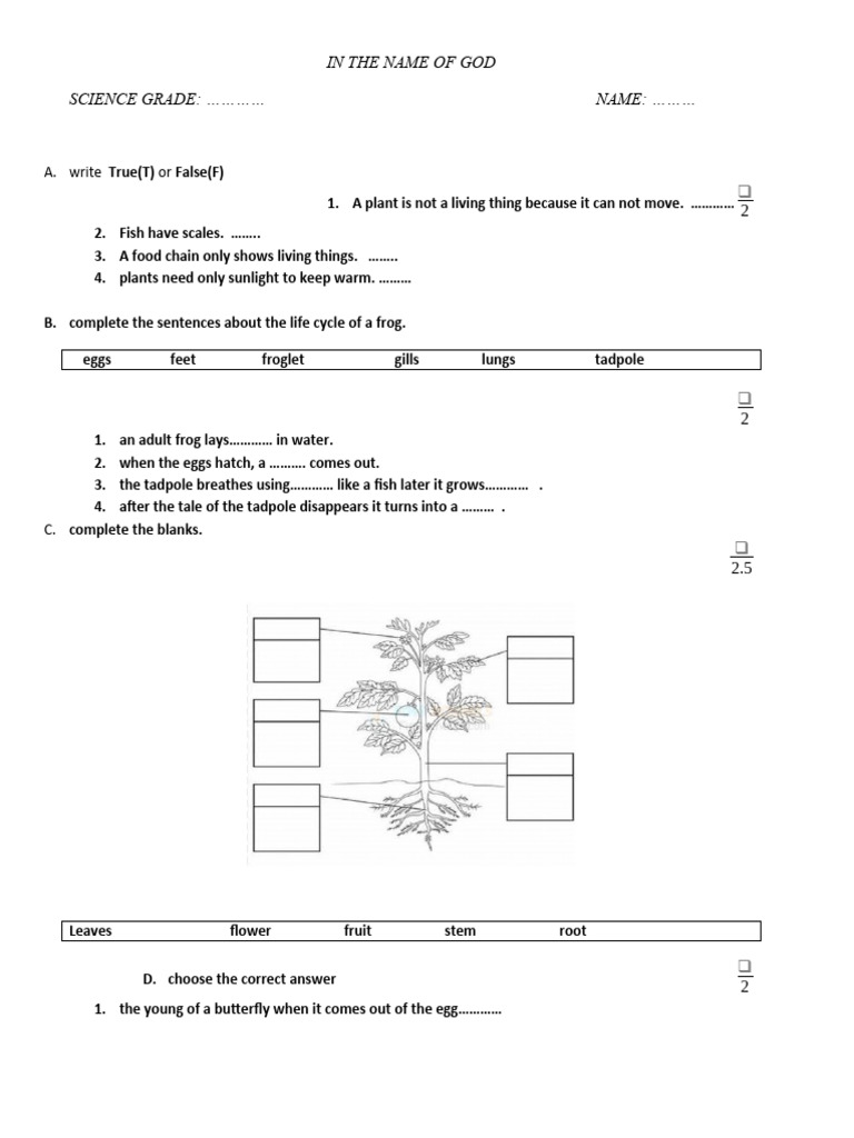 science grade 3 | PDF