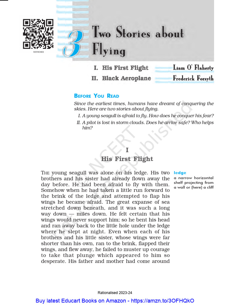 CH 3 - Two Stories About Flying | PDF