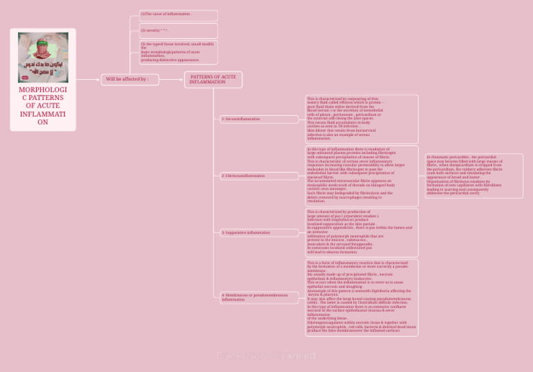 Patho Morphologic Patterns of Acute Shaima | PDF