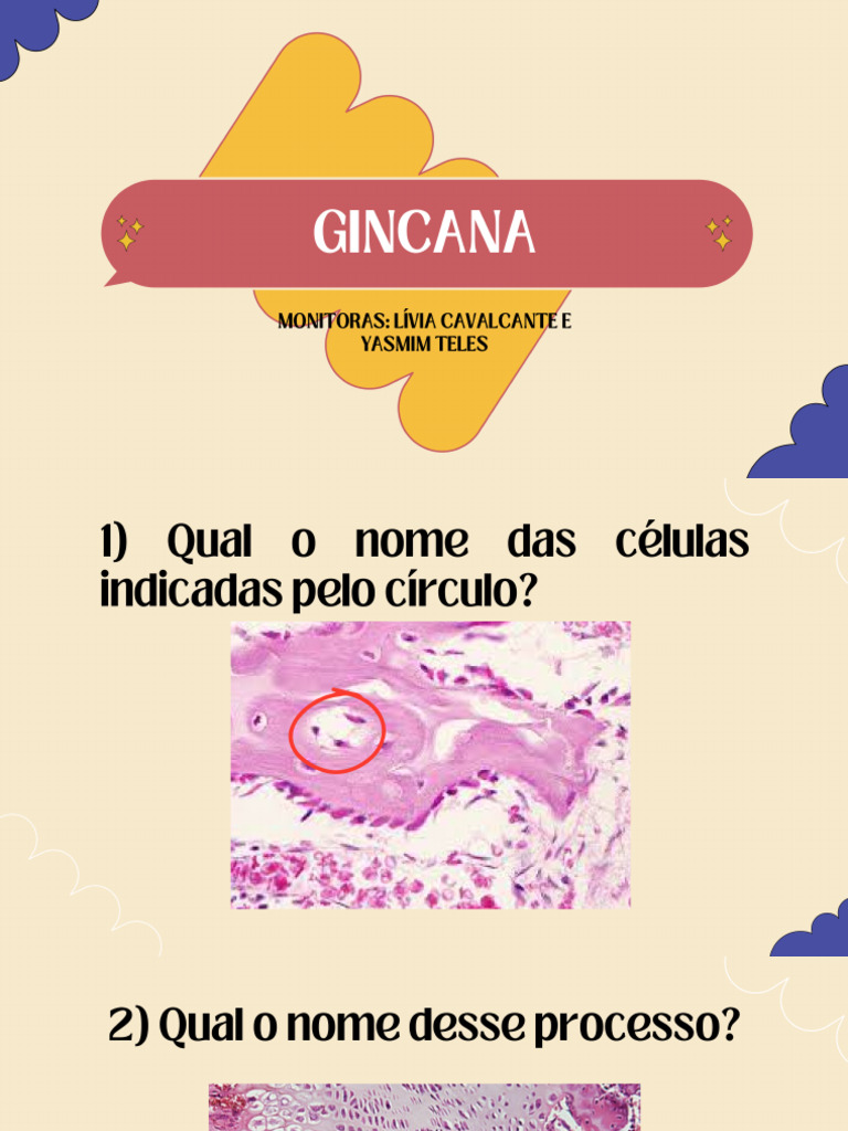 Revisão monitoria-NP2 Manhã | PDF