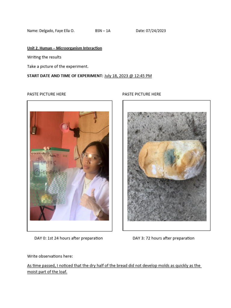 Fungi Kitchen Experiment-delgado | PDF | Fungus | Cell (Biology)