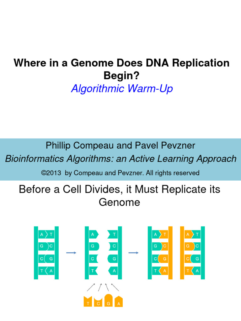 Bioinformatics Chapter 1 | PDF | Base Pair | Dna Replication