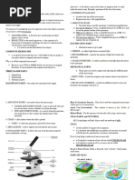 English ENTRANCE EXAM PRACTICE QUESTIONS FOR GRADE 7 | PDF | Legends ...