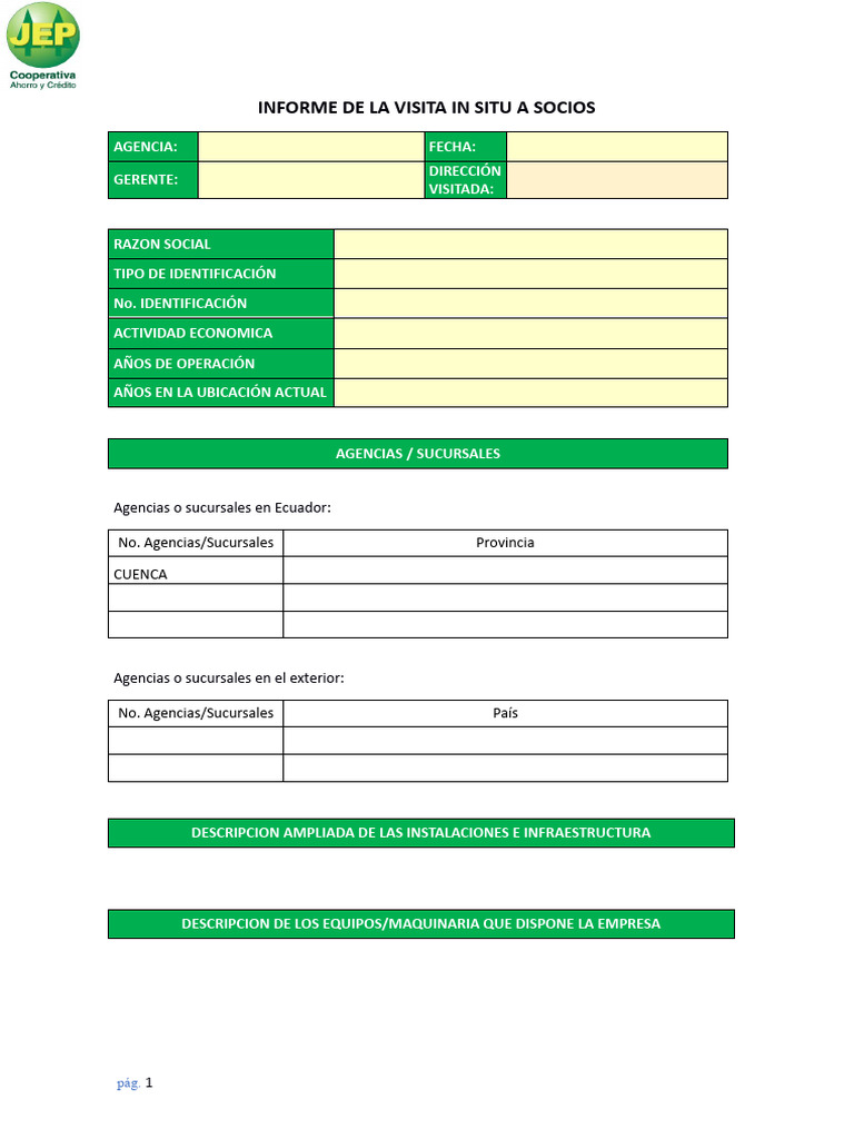 Informe de Visita in Situ (En Blanco) | PDF